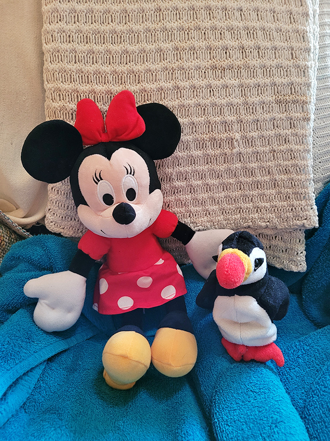 Minnie Mouse awaits her forever home! One shopper's decluttering decision becomes another child's treasured companion &ndash; the circle of thrift life. 