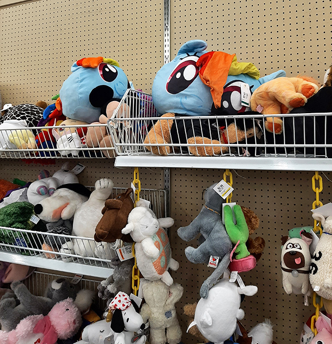 Stuffed animals with that thousand-yard stare, silently competing for your affection and a second chance at cuddle-based employment.