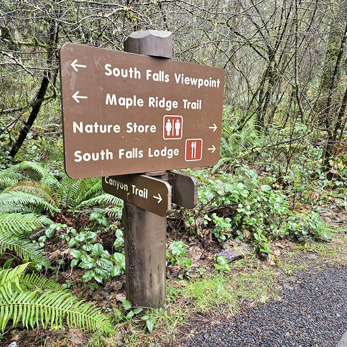 Trail signs: preventing the "I think we're lost" conversation that's tested more marriages than assembling IKEA furniture ever could.