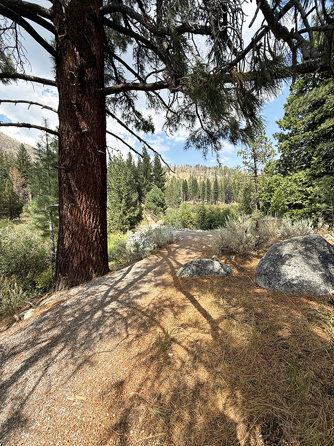 Where hiking trails and history intersect. This path has carried countless boots seeking the same thing: a momentary escape from civilization's buzz.
