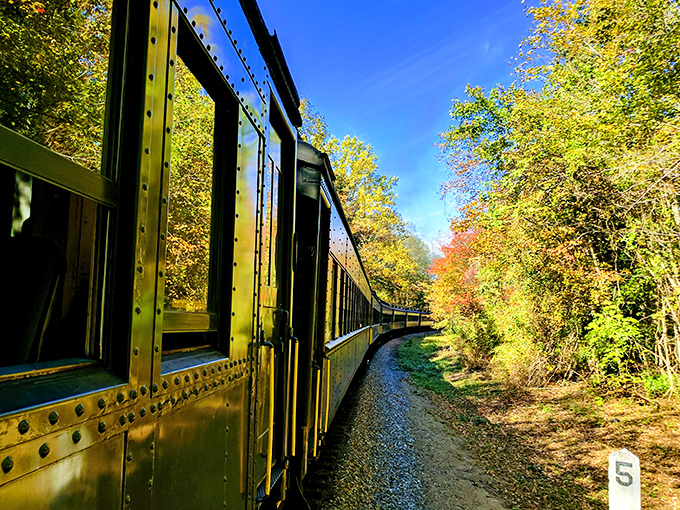 Connecticut Valley views from the train reveal landscapes that highways somehow manage to completely miss every time.