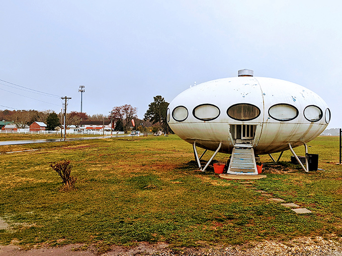 Against autumn's muted palette, the Futuro's stark white form creates a visual time warp in rural Delaware.