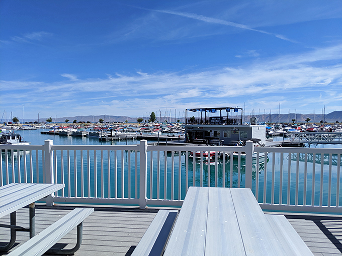 Picnic tables with million-dollar views. Lunch with a side of panorama that makes fast food feel like fine dining.