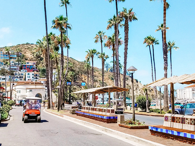 Palm trees stand like exclamation points against the hillside, framing Avalon's main drag where golf carts cruise at their blistering top speed.