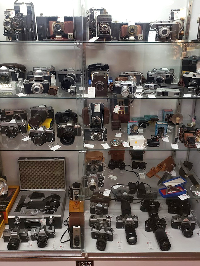 The evolution of photography in one display case&mdash;from when cameras were furniture to when they became fashion accessories.