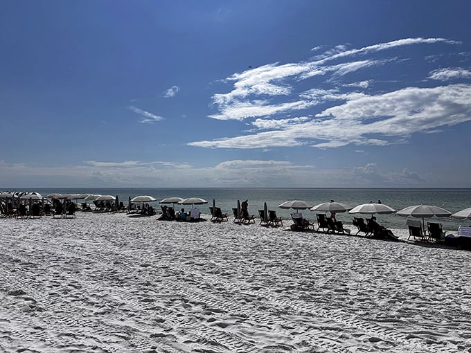 Beach chairs lined up like eager students on the first day of school. Each one holds the promise of naps, novels, and doing absolutely nothing.