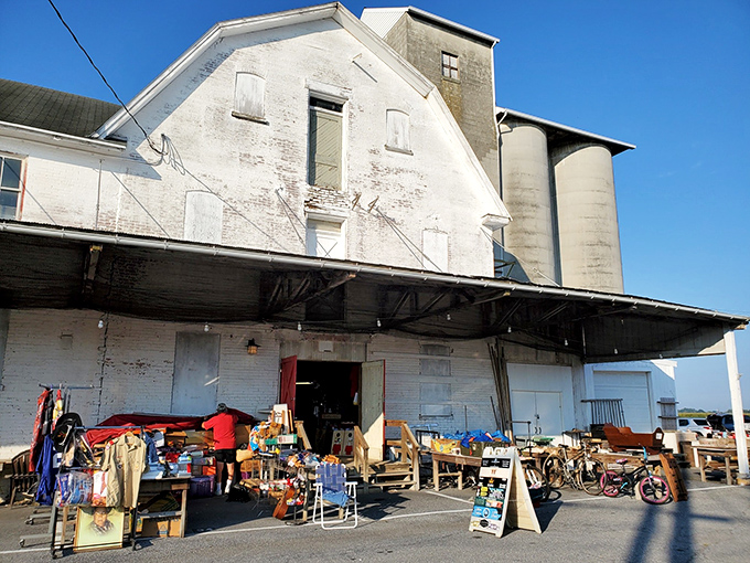 History and commerce meet at this weathered mill building. Its sturdy walls now shelter treasures both practical and peculiar.