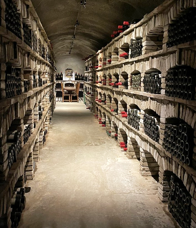 Not your average wine cellar&mdash;this underground labyrinth of bottles could survive both zombie apocalypse and unexpected in-laws.