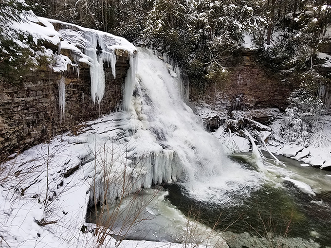 Winter transforms Muddy Creek Falls into nature's ice sculpture competition. The frozen cascade looks like time itself has been put on pause.
