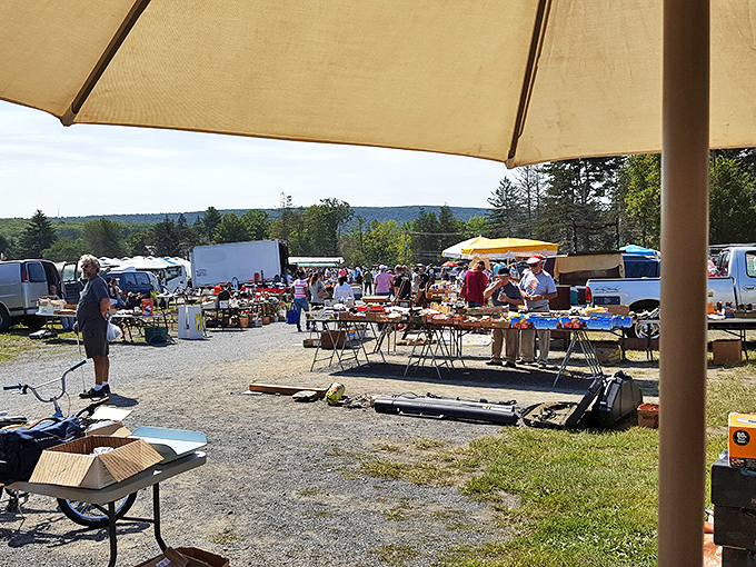 Shaded shopping comfort! This tan umbrella provides relief while shoppers browse tables of treasures spread across the grassy marketplace.