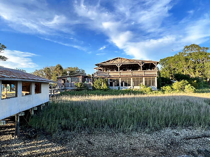 Golden marsh grass frames this two-story waterfront legend like nature's own picture frame masterpiece.