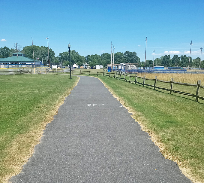 Walking trails through farmland where the only traffic jam involves tractors during harvest season celebrations.