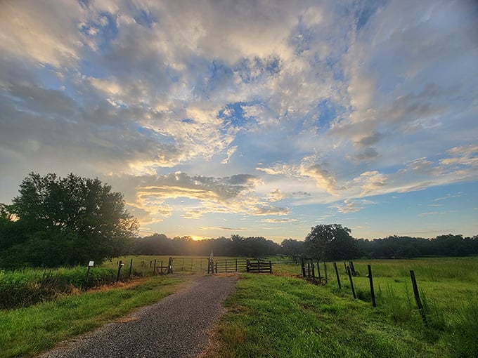 Brooksville's natural beauty shines in this peaceful road. A retirement backdrop that doesn't require a fortune.
