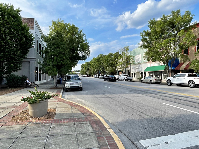Camden's historic downtown exudes small-town Southern charm. Those cream-colored buildings have probably hosted more community gatherings than a church fellowship hall!