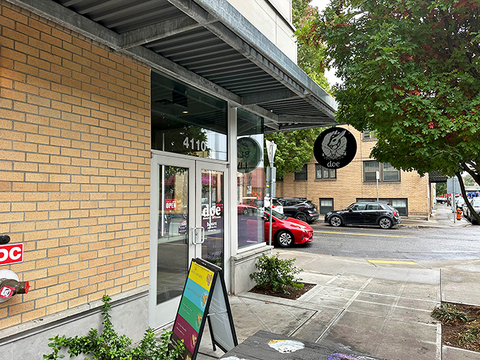 Doe Donuts' sleek storefront brings modern design to traditional treats. Plant-based perfection that even carnivores line up for.