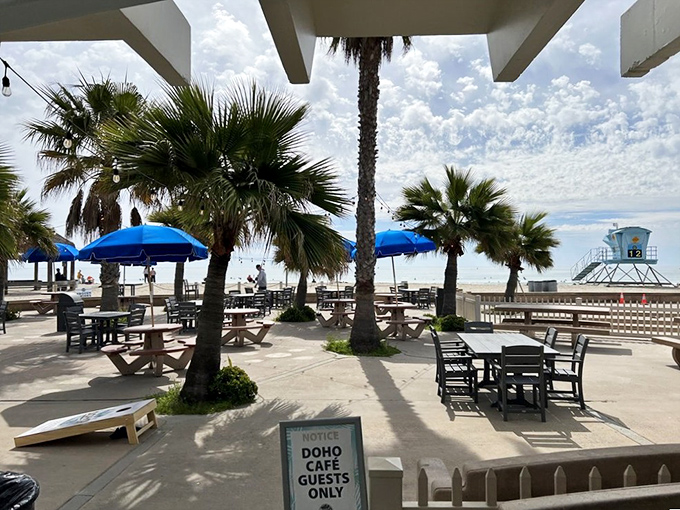 Doho Cafe's harbor setting offers front-row seats to Dana Point's marina life, where fishing boats and fresh seafood meet.