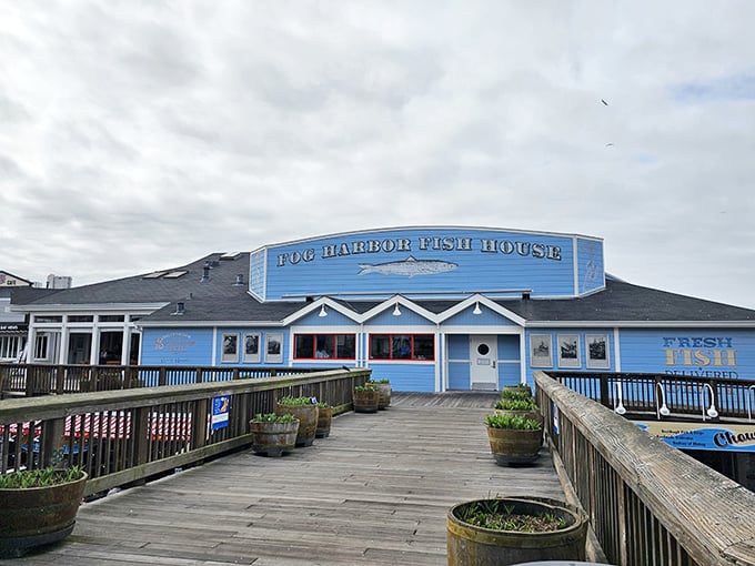 Pier 39's sophisticated answer to tourist traps - where panoramic bay views meet seriously good seafood.