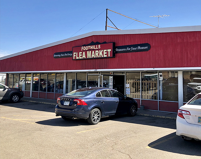 "Browsing Fun For Everyone, Treasure For Your Pleasure" isn't just a slogan - it's a promise this Fort Collins favorite delivers.