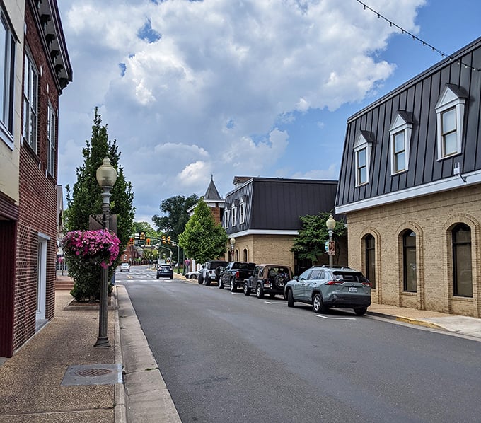 Front Royal's charming downtown streets blend Victorian architecture with modern shops – history meets hospitality in perfect harmony here.