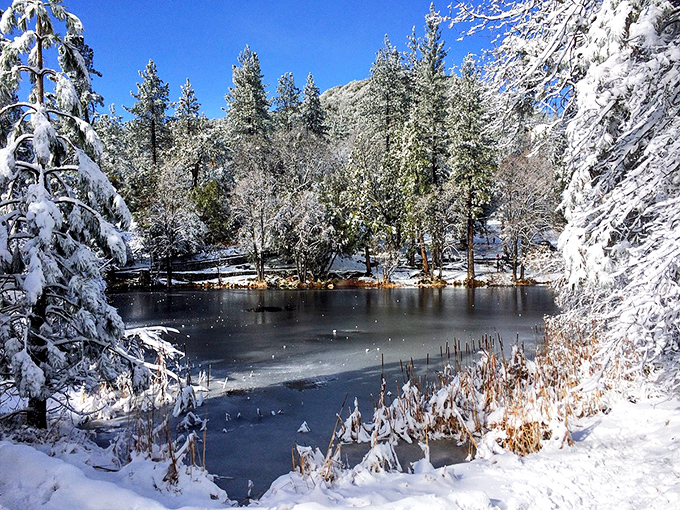 Idyllwild's frozen pond reflects winter's quiet beauty, where mountain serenity comes standard with every sunrise.