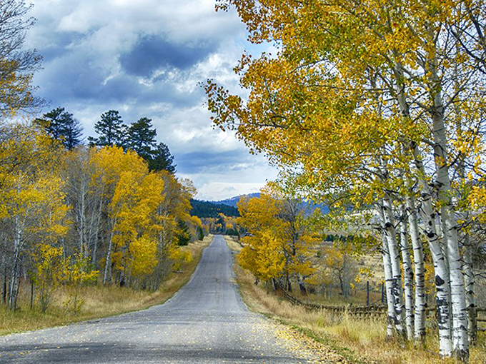 Golden aspens frame this country road like nature's own welcome mat to one of Idaho's most scenic valleys.