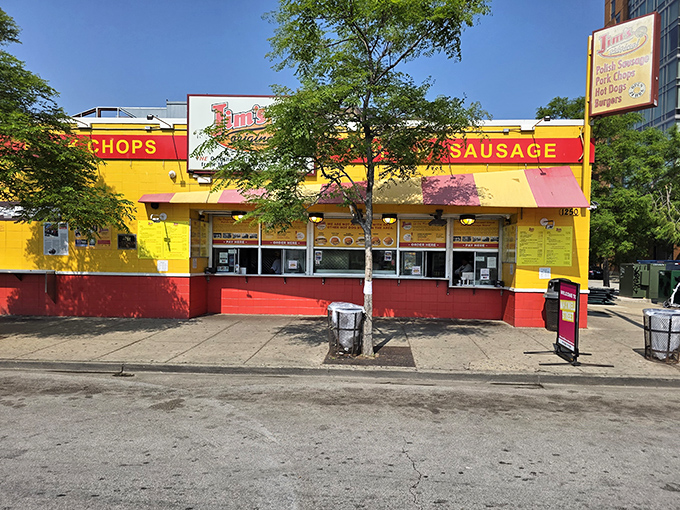 10a. jim's original (1250 s union ave, chicago)