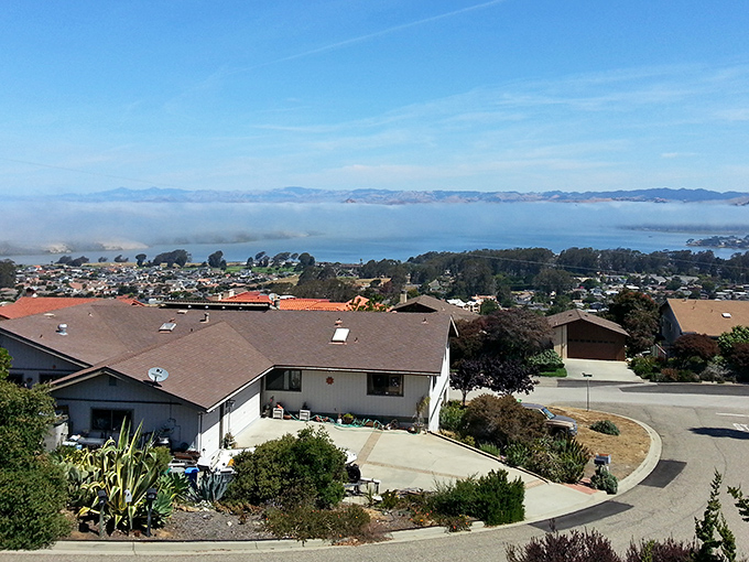Los Osos offers misty bay views that painters have tried to capture for centuries. Mother Nature showing off her morning outfit.