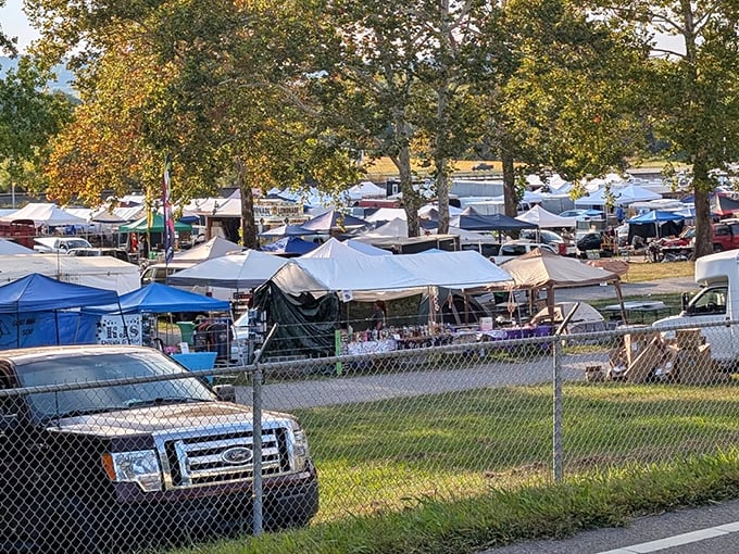 These monthly gatherings transform ordinary parking lots into temporary treasure hunting wonderlands for everyone.