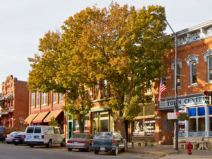 Mount Vernon's tree-lined streets create the perfect college town atmosphere, where Cornell College towers inspire academic dreams among these Victorian homes.