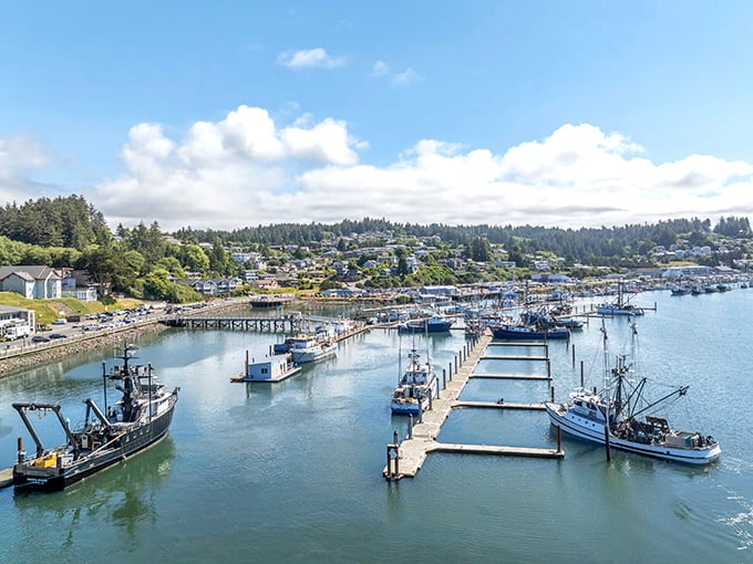 Newport's working waterfront buzzes with authentic maritime energy that connects past to present perfectly.