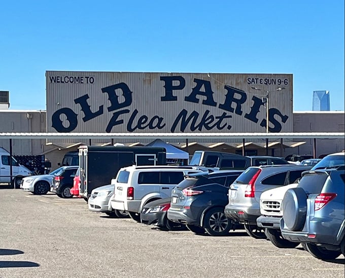 Massive outdoor market stretches endlessly, promising adventures for the most dedicated treasure hunters.