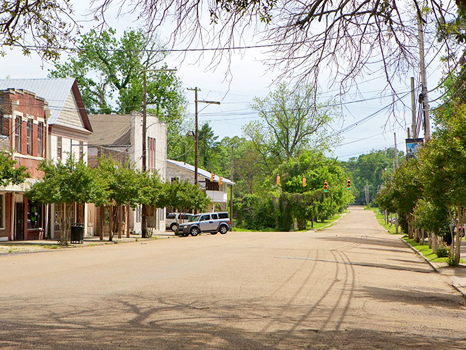Port Gibson's tree-lined streets frame a peaceful scene where history lives quietly in every brick and board.