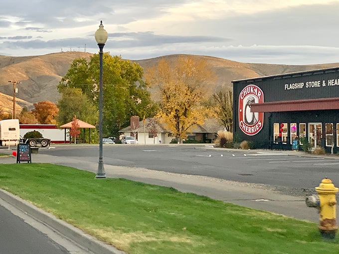 That mountain in the background reveals the perfect balance of farmland, vineyards, and affordable small-town living spaces.