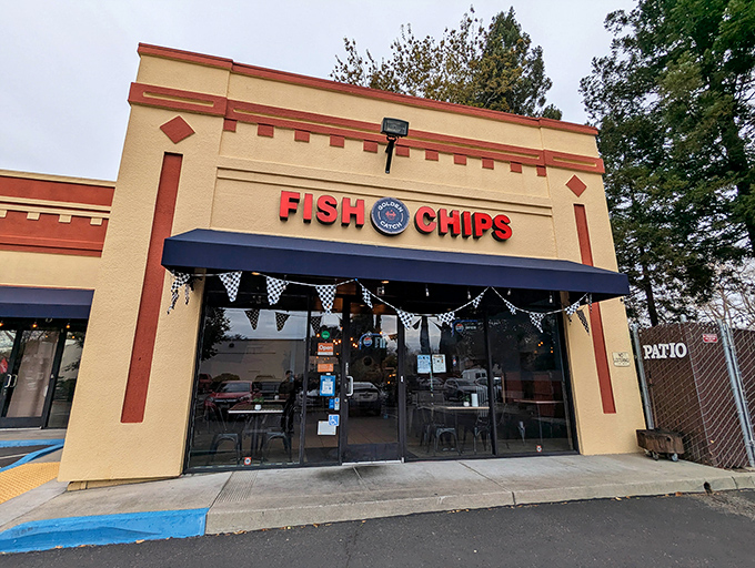 Shark Boy's cheerful yellow building doesn't need fancy frills. When your fish and chips are this good, the food is all the decoration you need.