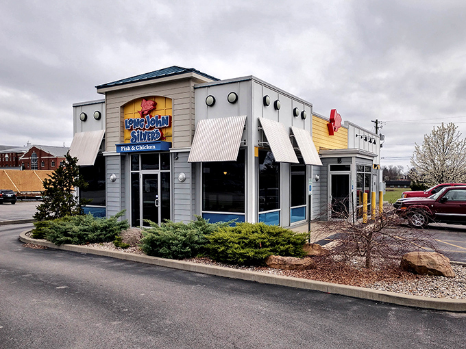 Shelbyville's horse country charm gallops through downtown streets where Southern hospitality meets sensible prices in perfect harmony.