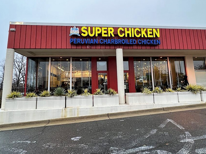 Super Chicken's bold red exterior houses Peruvian secrets that will make your taste buds rethink chicken entirely.