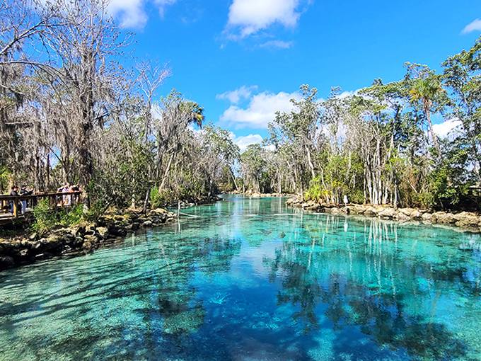 Jungle paradise found! Three Sisters Springs offers a tropical getaway without the passport&mdash;palm trees included, crowds optional.