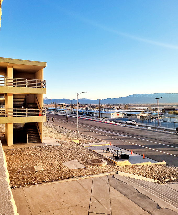 Twentynine Palms sits at the edge of desert wilderness, where modern buildings meet ancient landscapes.