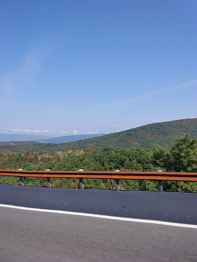 Mountain vistas stretch endlessly here, offering the kind of scenery that makes you want to pull over.