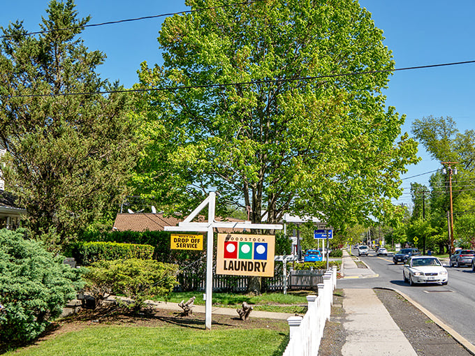 Mountain town vibes meet artistic soul in this creative haven nestled among peaks.