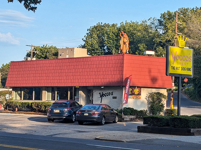 The crown logo isn't just branding - it's a bold declaration of hot dog royalty status.