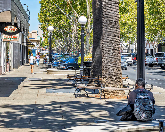 Downtown Yuba City blends local flavor and everyday rhythm, where palm-lined sidewalks and small shops give the town its inviting charm.