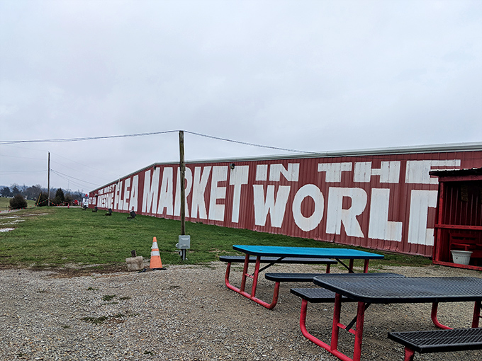 Bold letters stretch impossibly long, making promises bigger than Texas but delivered with Kentucky-sized friendliness.