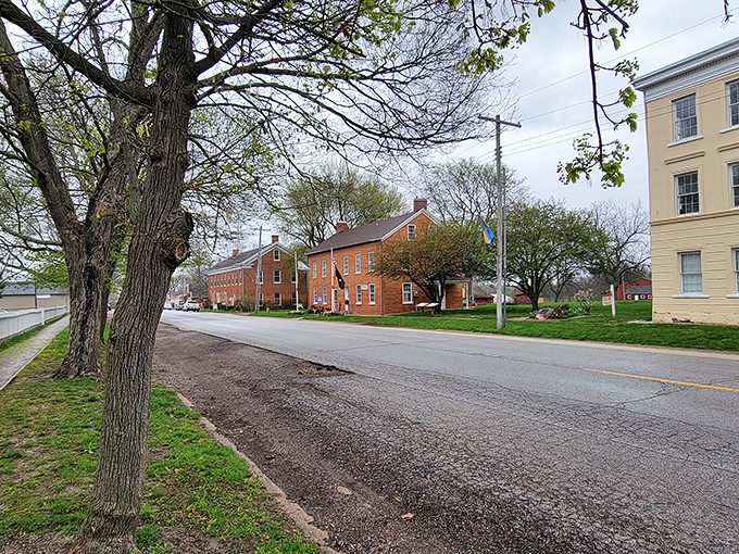 Where trees frame history's stage! Bishop Hill's quiet thoroughfare showcases architectural treasures like museum pieces you're allowed to touch.