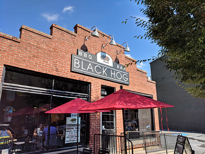 The red umbrellas outside Black Hog BBQ invite you to enjoy your ribs while people-watching in charming Frederick.