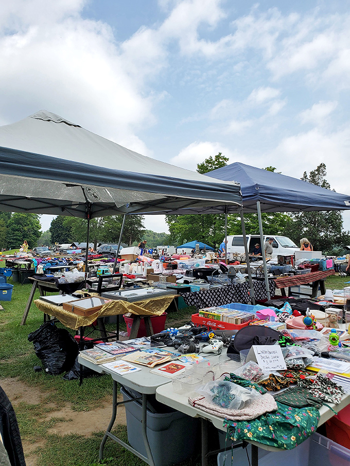 Sunshine and second chances. Items find new homes as shoppers wander between tables under bright blue Pocono Mountain skies.