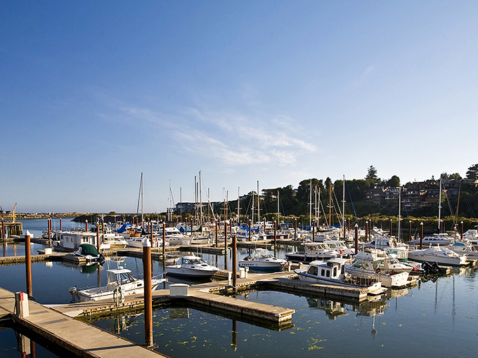 Marina life at its finest &ndash; where every boat has a tale and every sunset's a masterpiece.