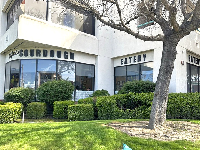 When sourdough is your specialty, every sandwich becomes a masterpiece of tangy, chewy perfection.