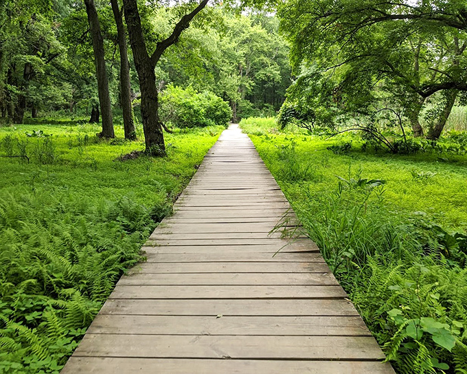 The nature trail at Cheesequake winds through forests that showcase New Jersey's incredible natural diversity.