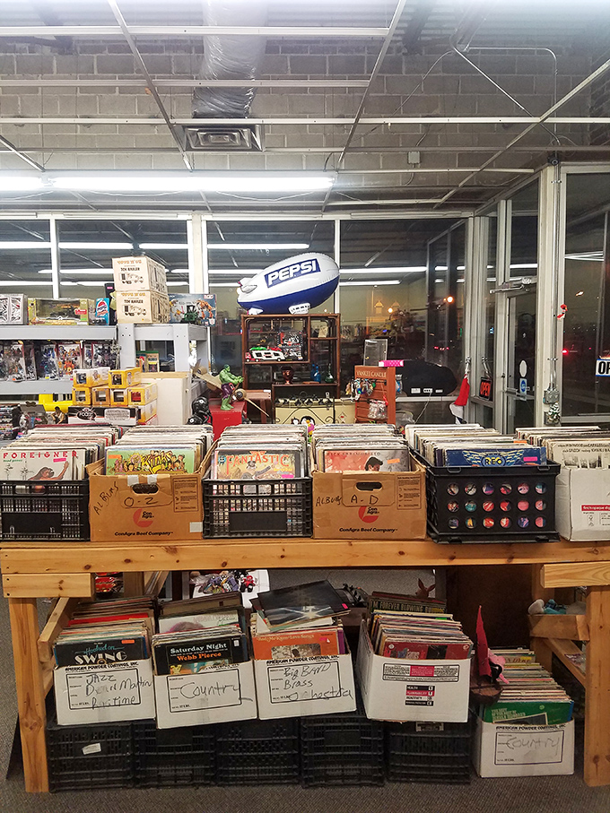 Those organized vinyl records promise musical treasures that could soundtrack your entire weekend perfectly.